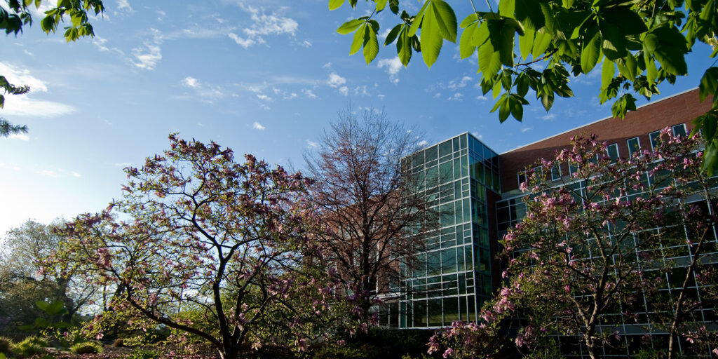 Online Criminal Justice Degrees - Michigan State University (MSU)