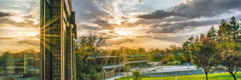 Online Criminal Justice Degrees - Michigan State University (MSU)