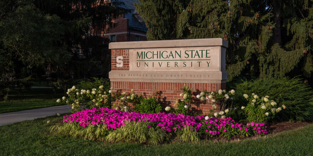 Online Criminal Justice Master's Degrees and Graduate Certificates - MSU